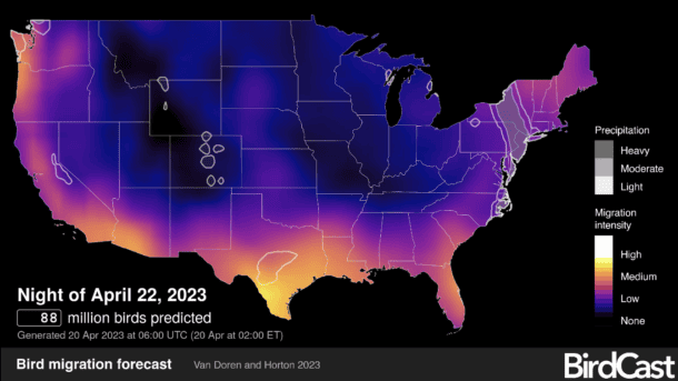 Feathered forecast: Tech tools comb weather data for bird migrations