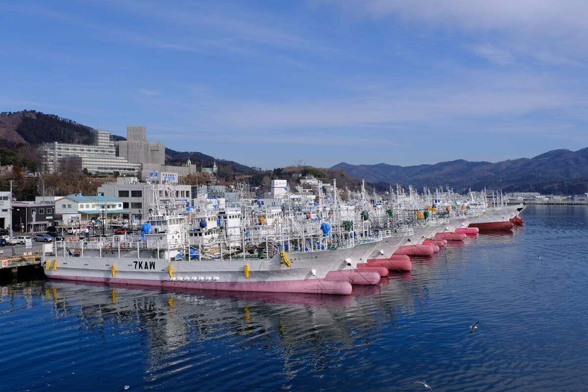 Saving forests to protect coastal ecosystems: Japan sets historic example