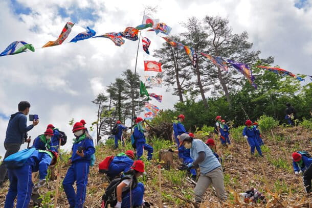 Saving forests to protect coastal ecosystems: Japan sets historic example