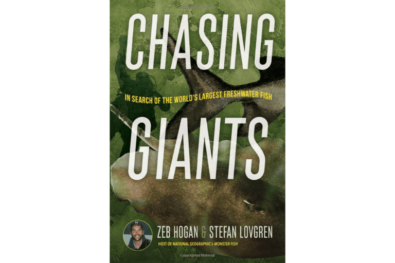 ‘Chasing giants’: Q&A with megafish biologist and author Zeb Hogan