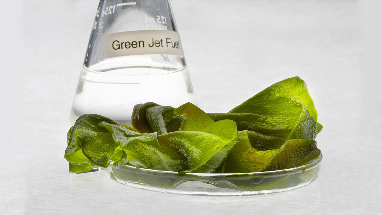 As Exxon bows out, industry takes step toward sustainable algae biofuels