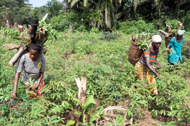 Inaugural Indigenous women’s forum spotlights Congo Basin conservation