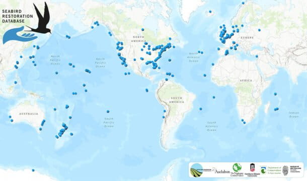 Seabird conservation mostly works, comprehensive new data set shows ...