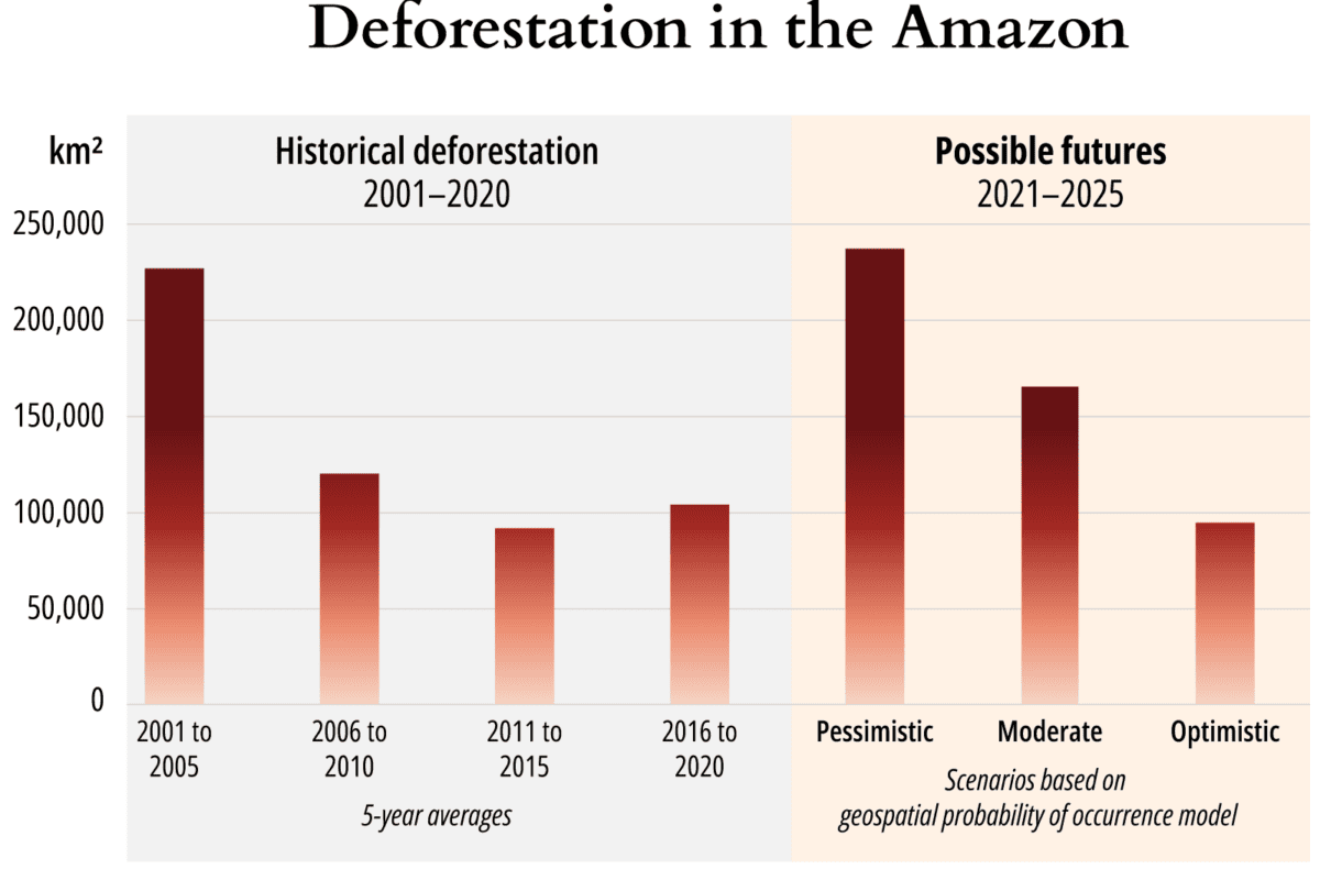 Amazon Rainforest loss could reach new height in just 5 years, study says