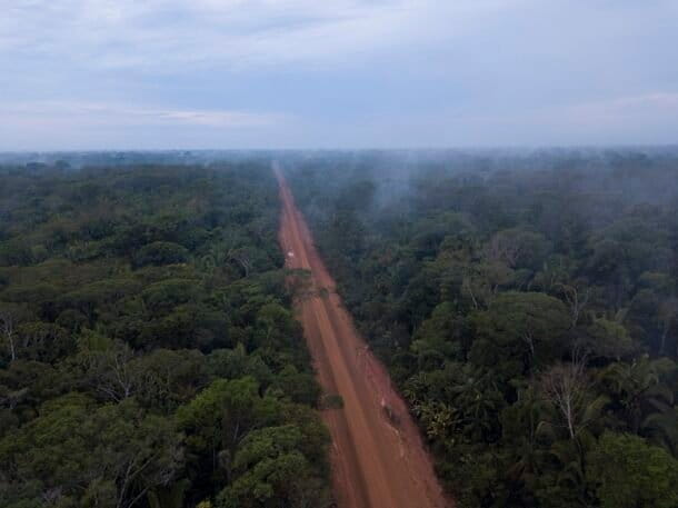 Amazon Rainforest loss could reach new height in just 5 years, study says