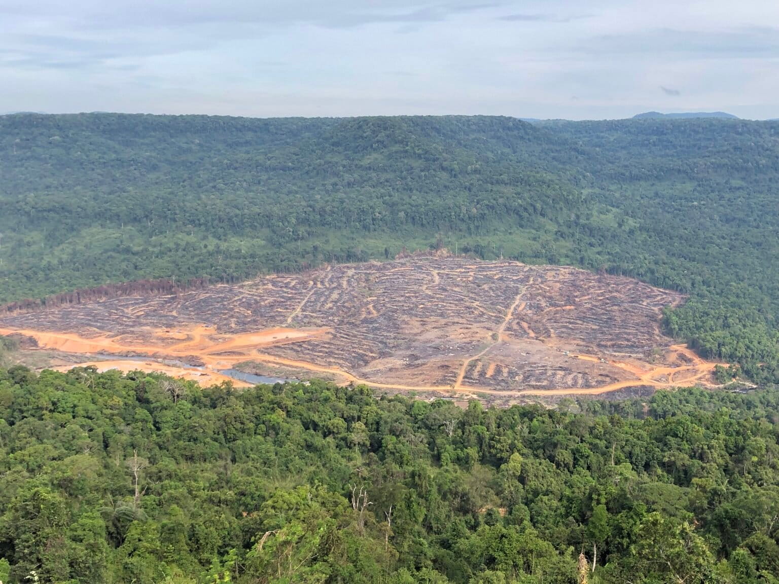 Forest behind bars: Logging network operating out of Cambodian prison ...