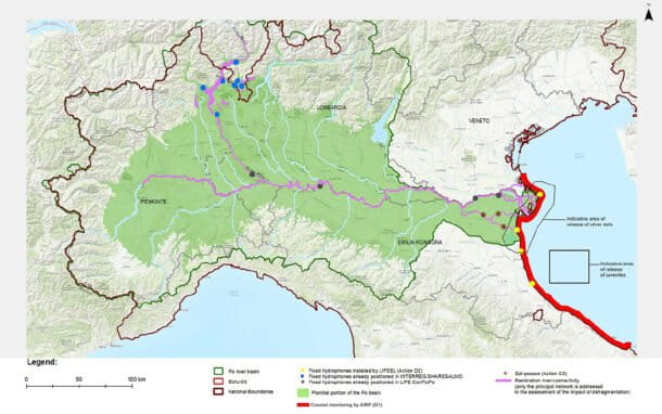 Conservationists aim to save critically endangered European eels on ...