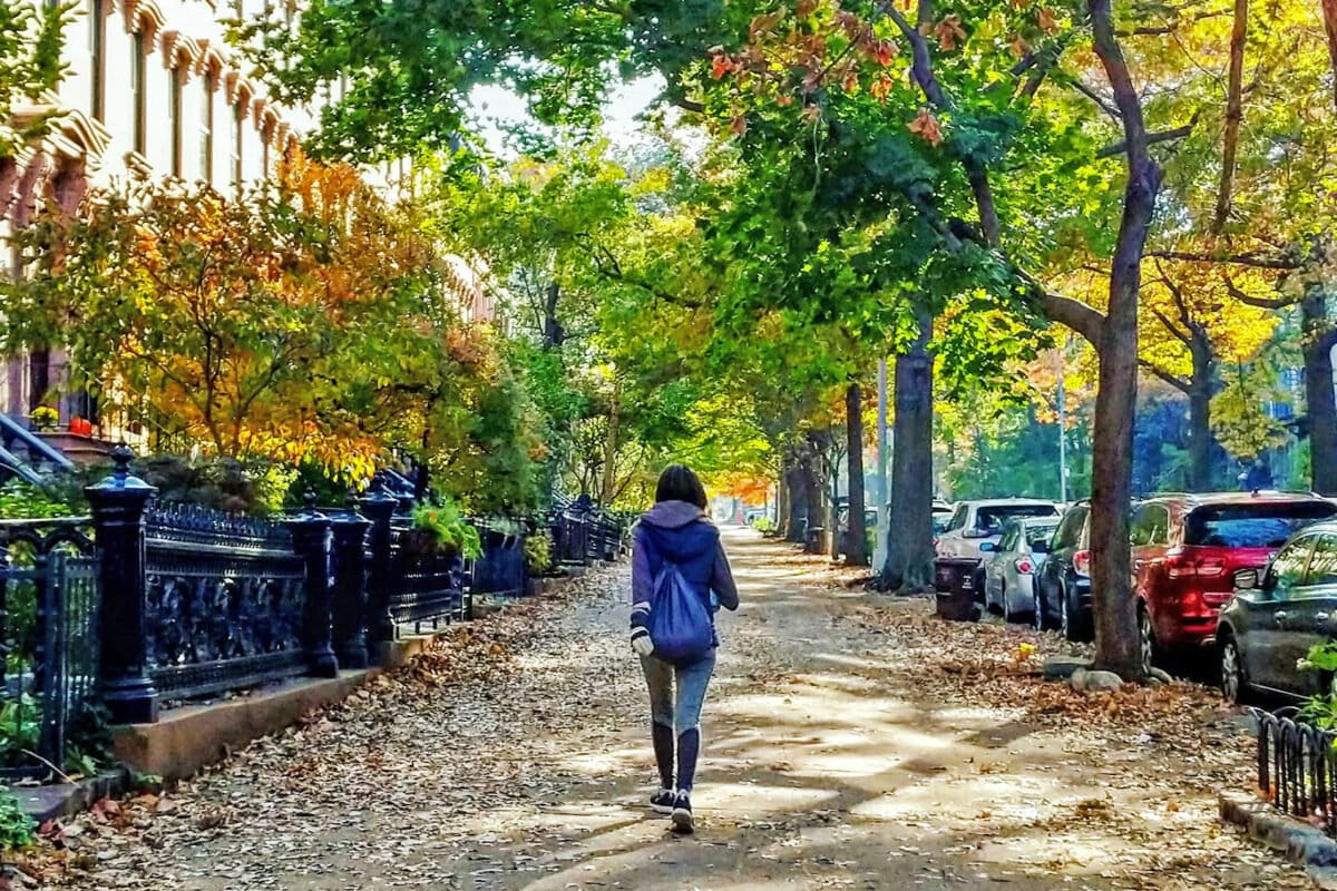 Soil carbon in urban parks important in fighting climate change, study ...