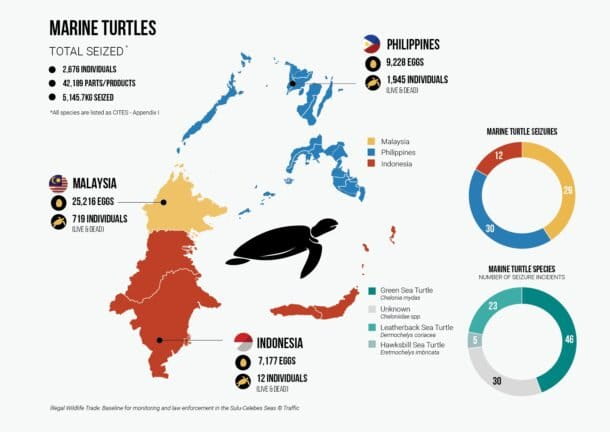 A Southeast Asian marine biodiversity hotspot is also a wildlife ...