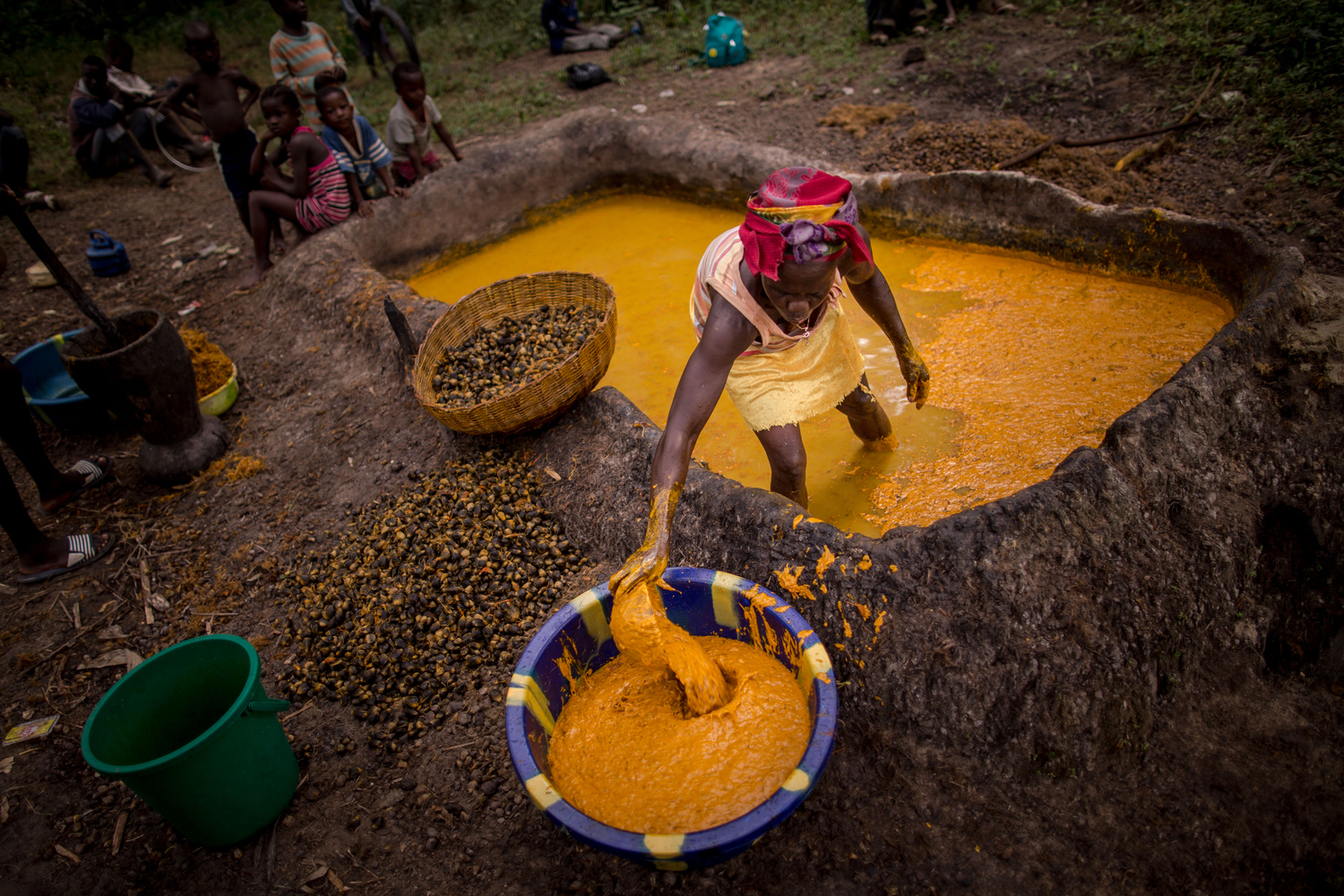 Communities accuse Socfin and Earthworm Foundation of greenwash in West ...