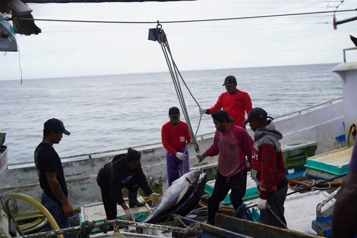 Indonesia to cut tuna harvest in bid for more sustainable fishery