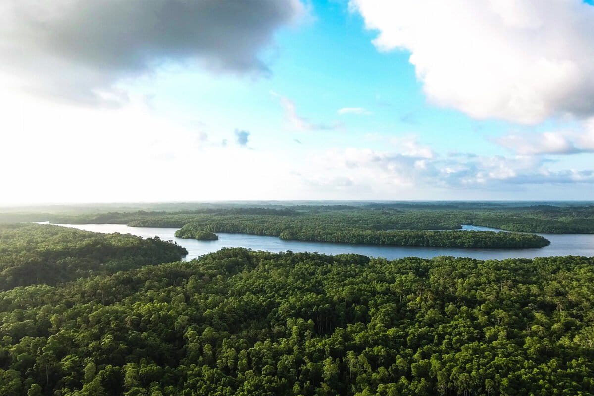 In Indonesia’s Aru Islands, a popular eco-defender climbs the political ...