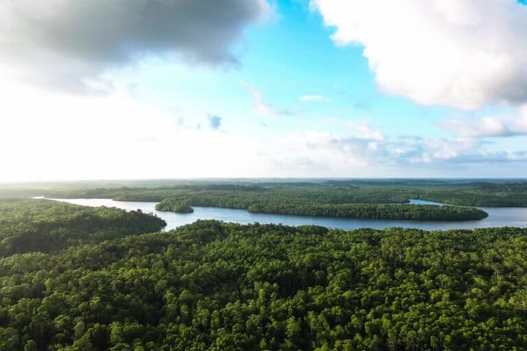 In Indonesia’s Aru Islands, a popular eco-defender climbs the political ...