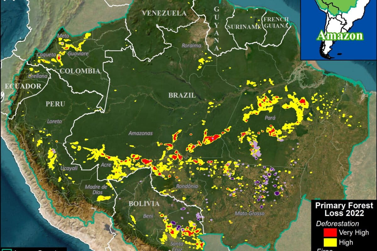 The Amazon saw record deforestation last year. Here’s why.