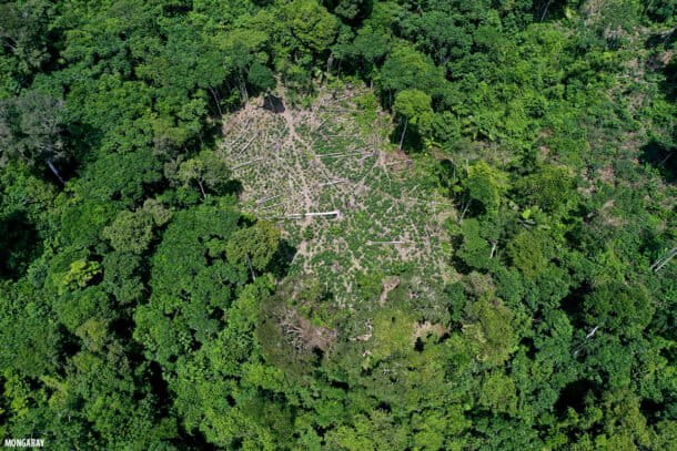 What’s in store for Colombia’s forests? New modeling tries to predict.