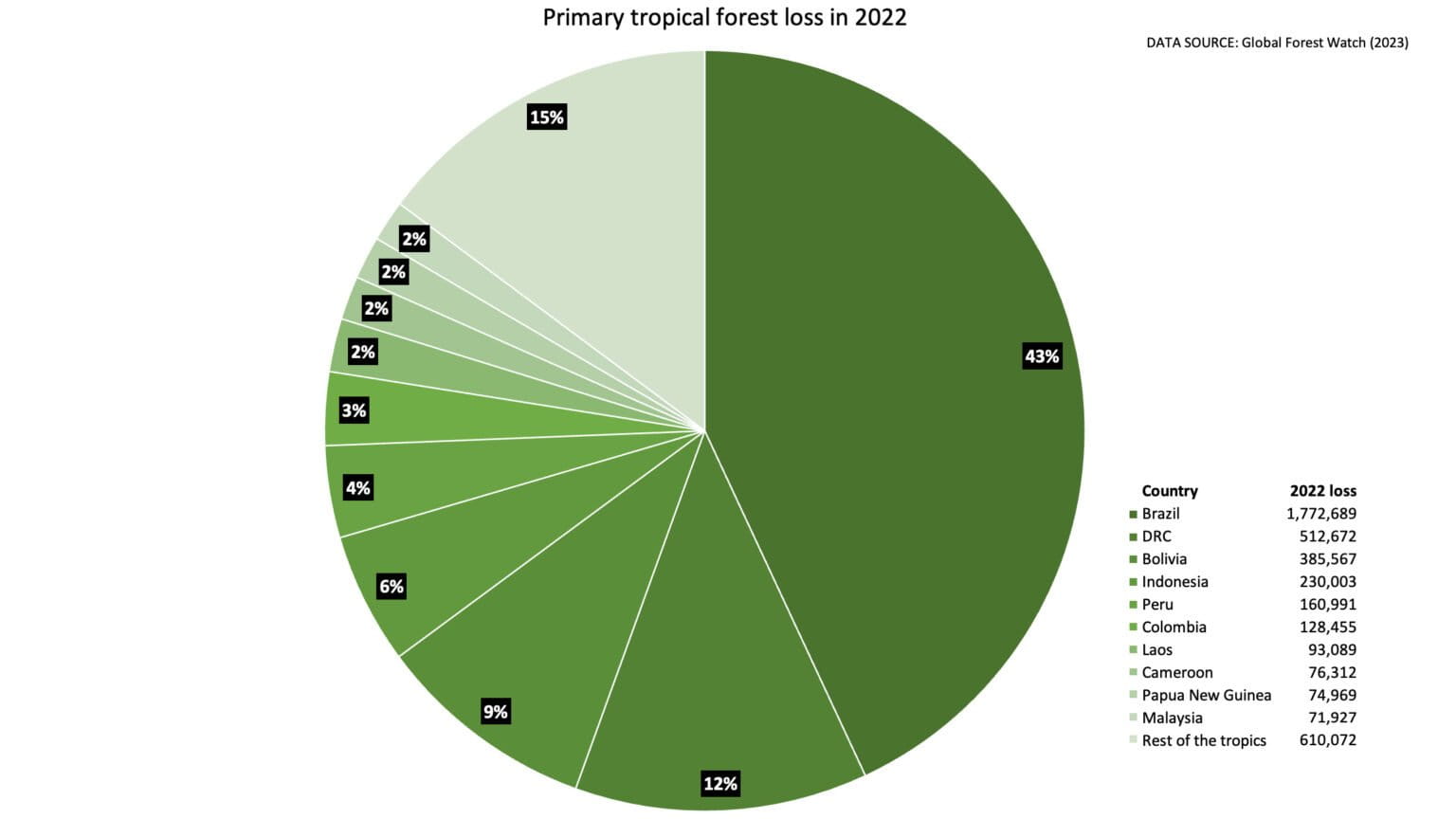 New data show 10% increase in primary tropical forest loss in 2022