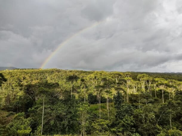 Colombian chef spearheads a food-based bioeconomy in the Colombian Amazon