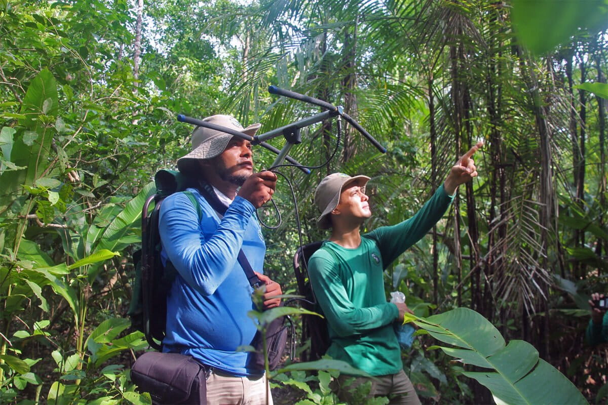 Effort to save rare Colombian monkey looks to crowdfund its conservation