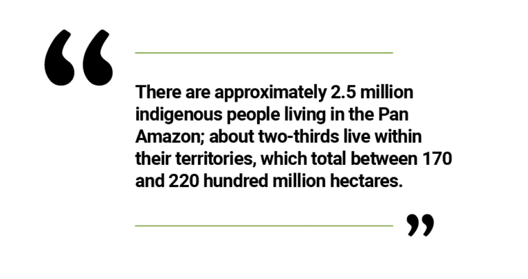 An Indigenous revival in the Pan Amazon