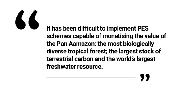 Monetizing nature: The under-explored power of the Amazon's natural capital