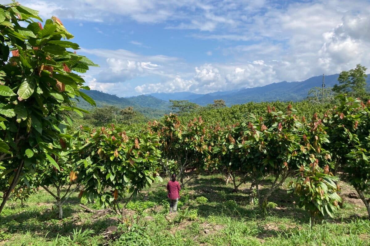 Conservation news on Happy-upbeat Environmental