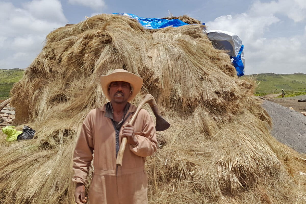 Tested by COVID and war, an Indigenous conservation system in Ethiopia ...