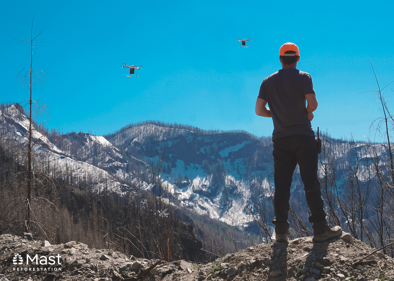 New Tree Tech: AI, drones, satellites and sensors give reforestation a ...