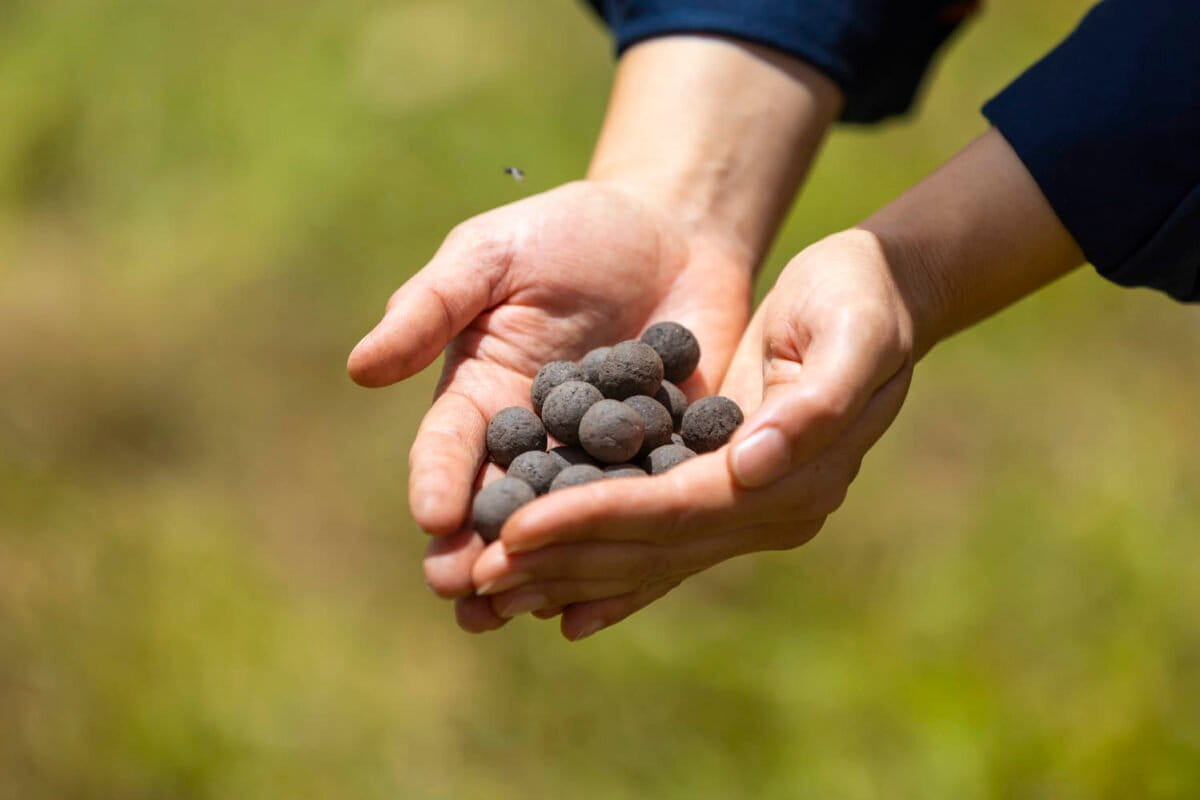 New Tree Tech: Cutting-edge drones give reforestation a helping hand