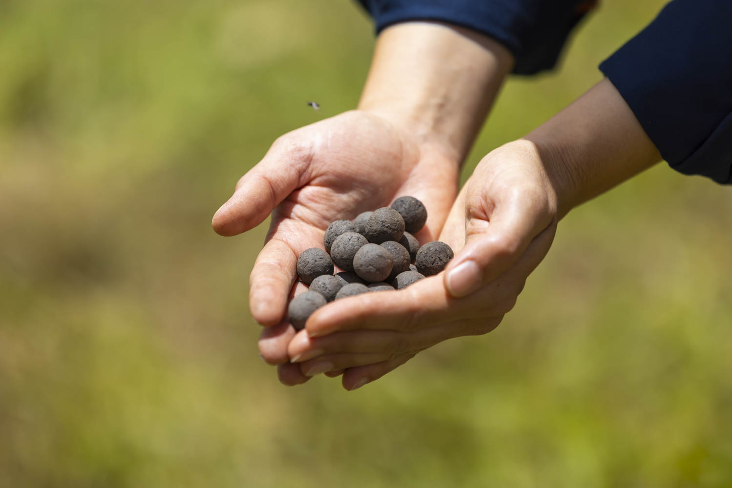 New Tree Tech: Cutting-edge drones give reforestation a helping hand