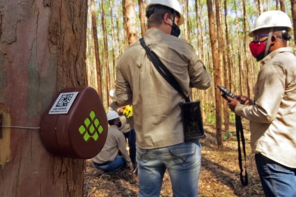 New Tree Tech: Real-time, long-term, high-tech reforestation monitoring