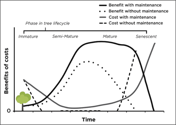Five ways to increase tree cover in cities (commentary)