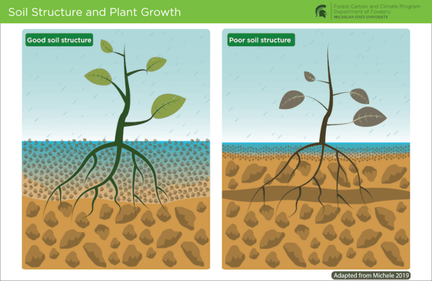 Five ways to increase tree cover in cities (commentary)