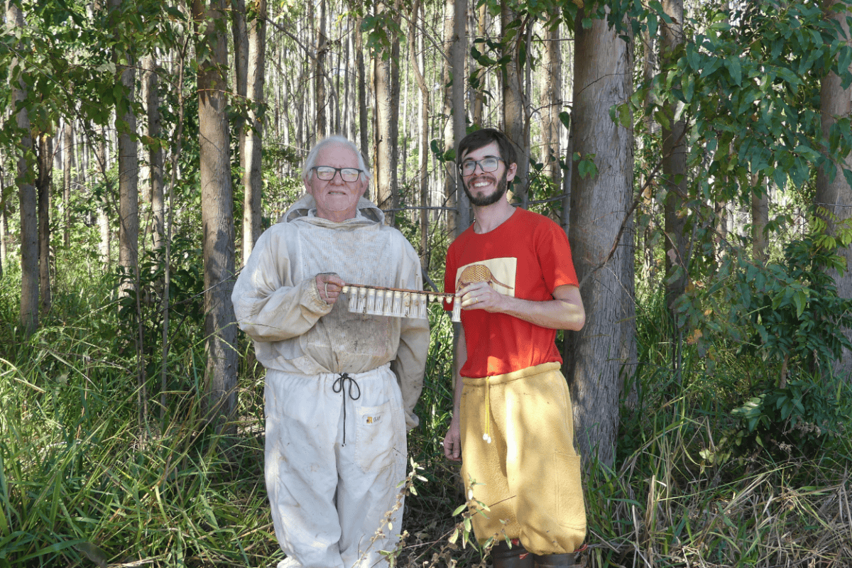Sweet solution: Armadillo-friendly honey helps Brazil beekeepers, giant ...