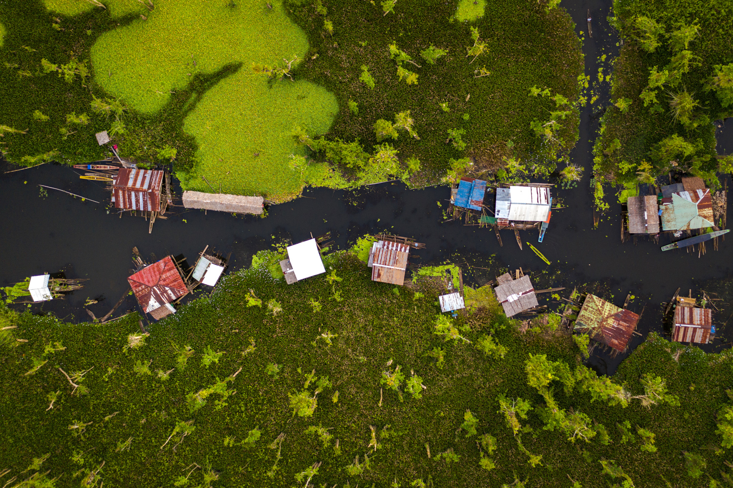 Conservation news on Philippines