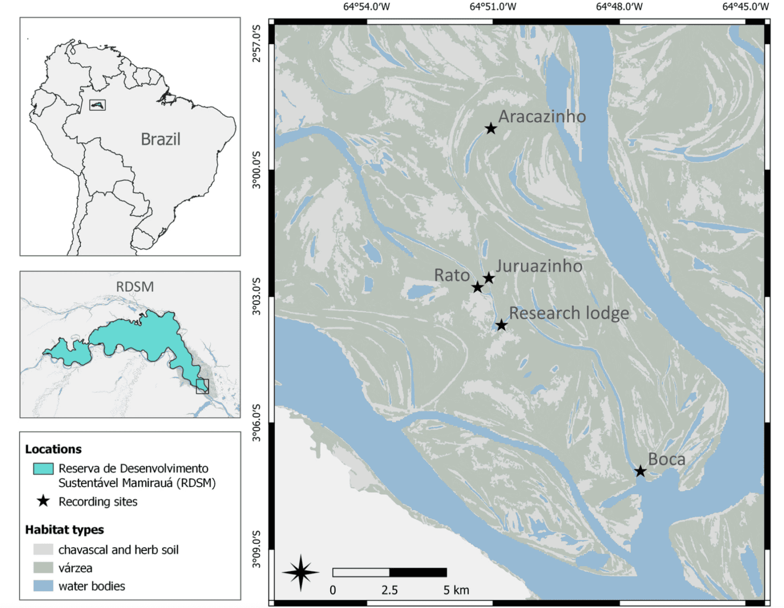 AI unlocks secrets of Amazon river dolphins' behavior, no tagging required