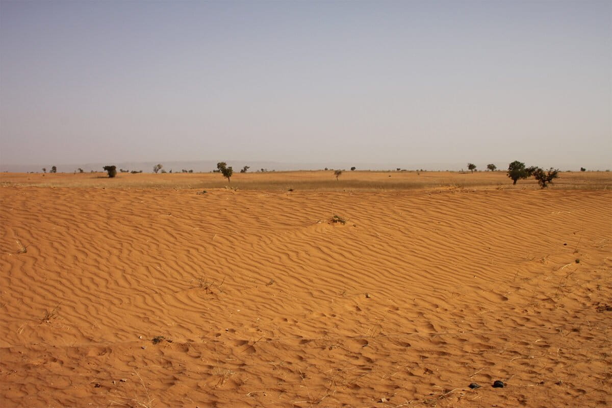 Progress is slow on Africa’s Great Green Wall, but some bright spots bloom