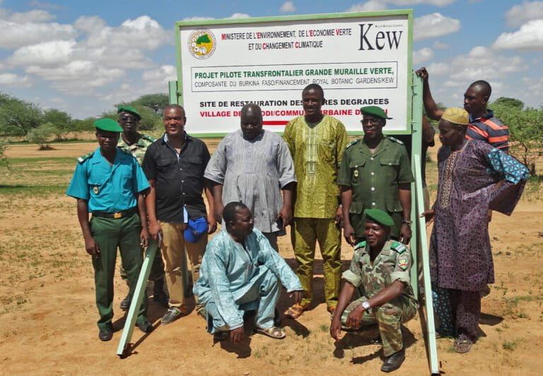 Progress is slow on Africa’s Great Green Wall, but some bright spots bloom