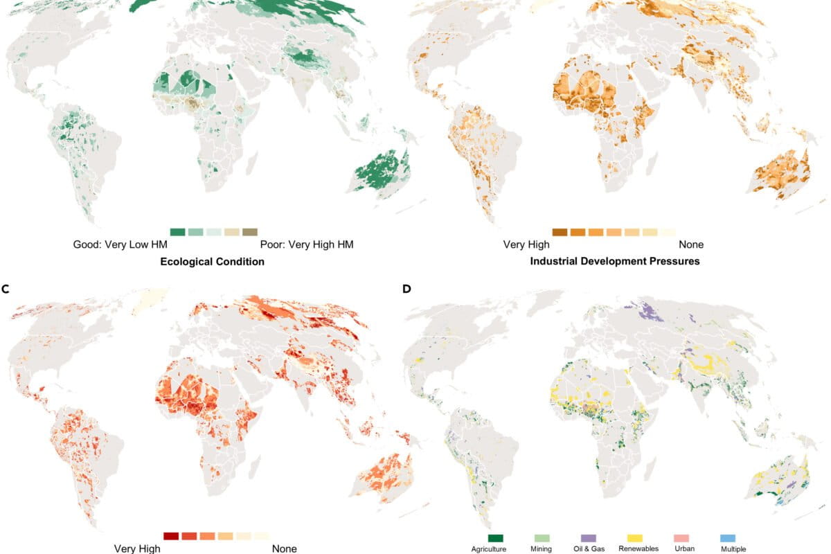 Three new studies on Indigenous conservation for International ...