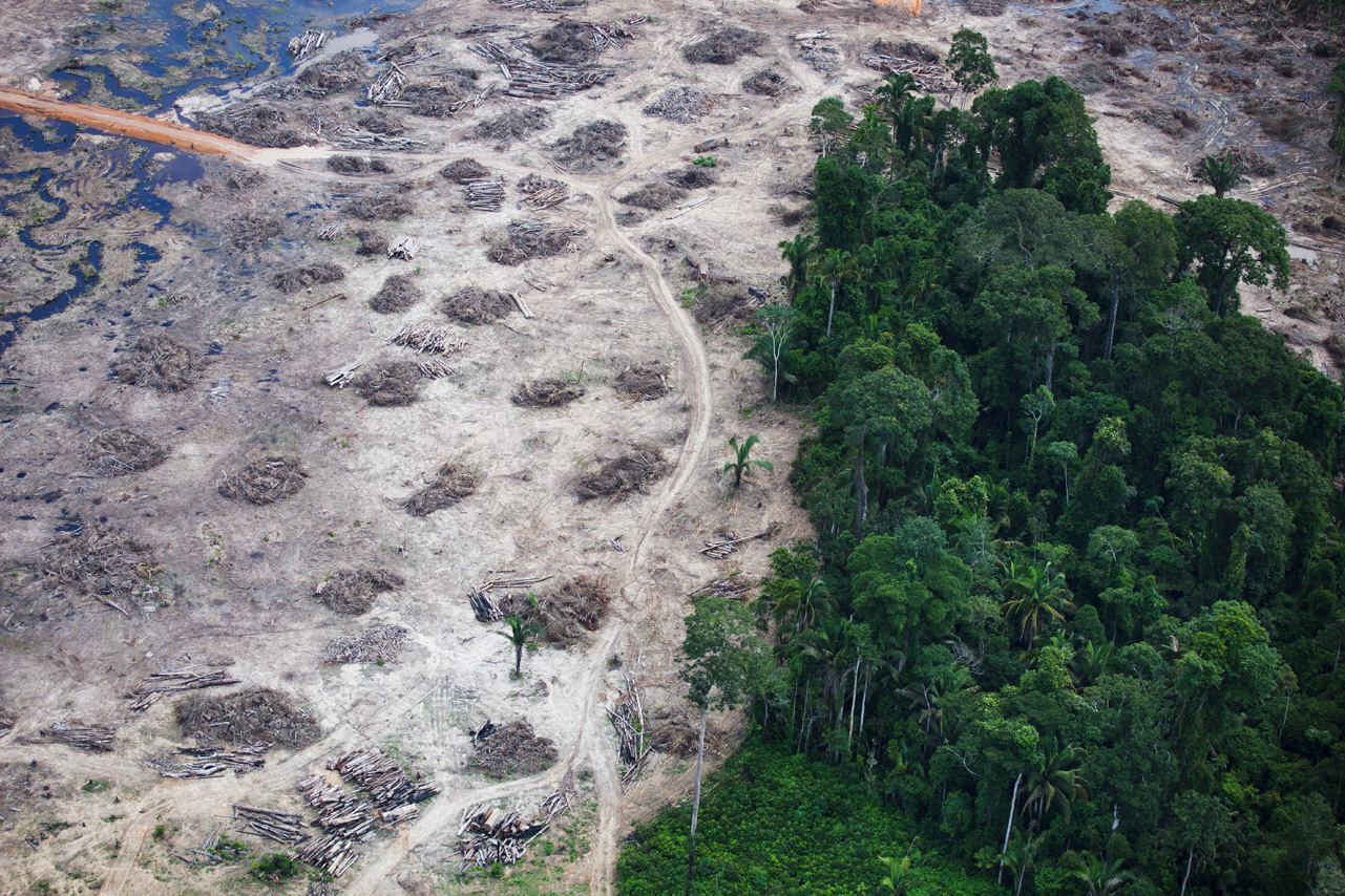 Conservation news on Amazon Rainforest