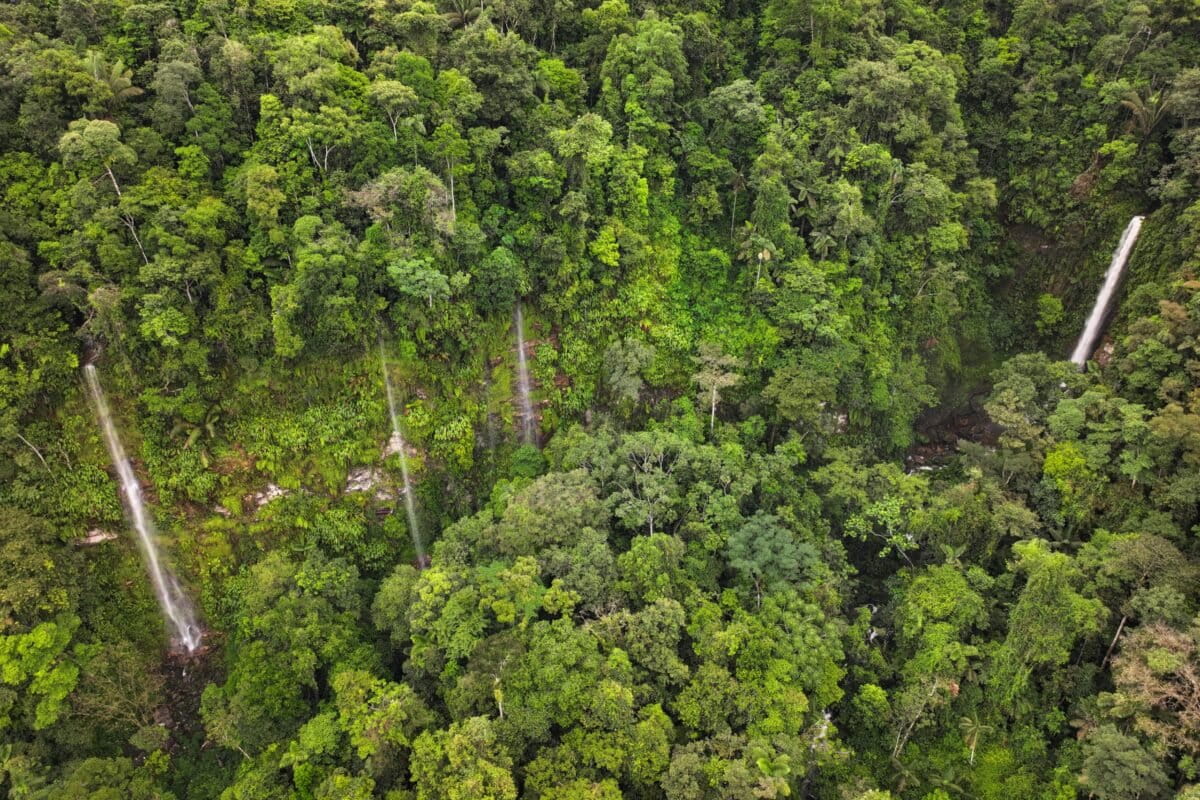 Community tropical forest management linked to social & environmental ...