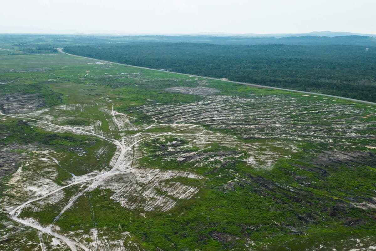 New concession in Botum Sakor National Park handed to Cambodia’s Royal ...