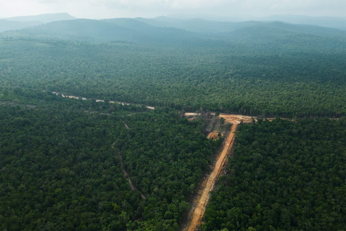 New concession in Botum Sakor National Park handed to Cambodia’s Royal ...