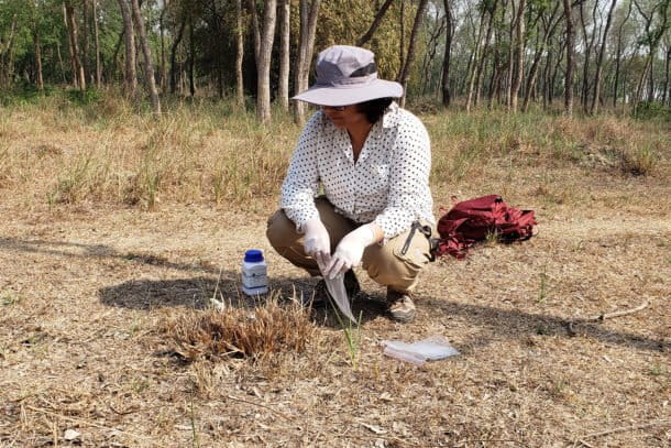 ‘More research leads to more awareness’: Q&A with fishing cat expert Rama Mishra