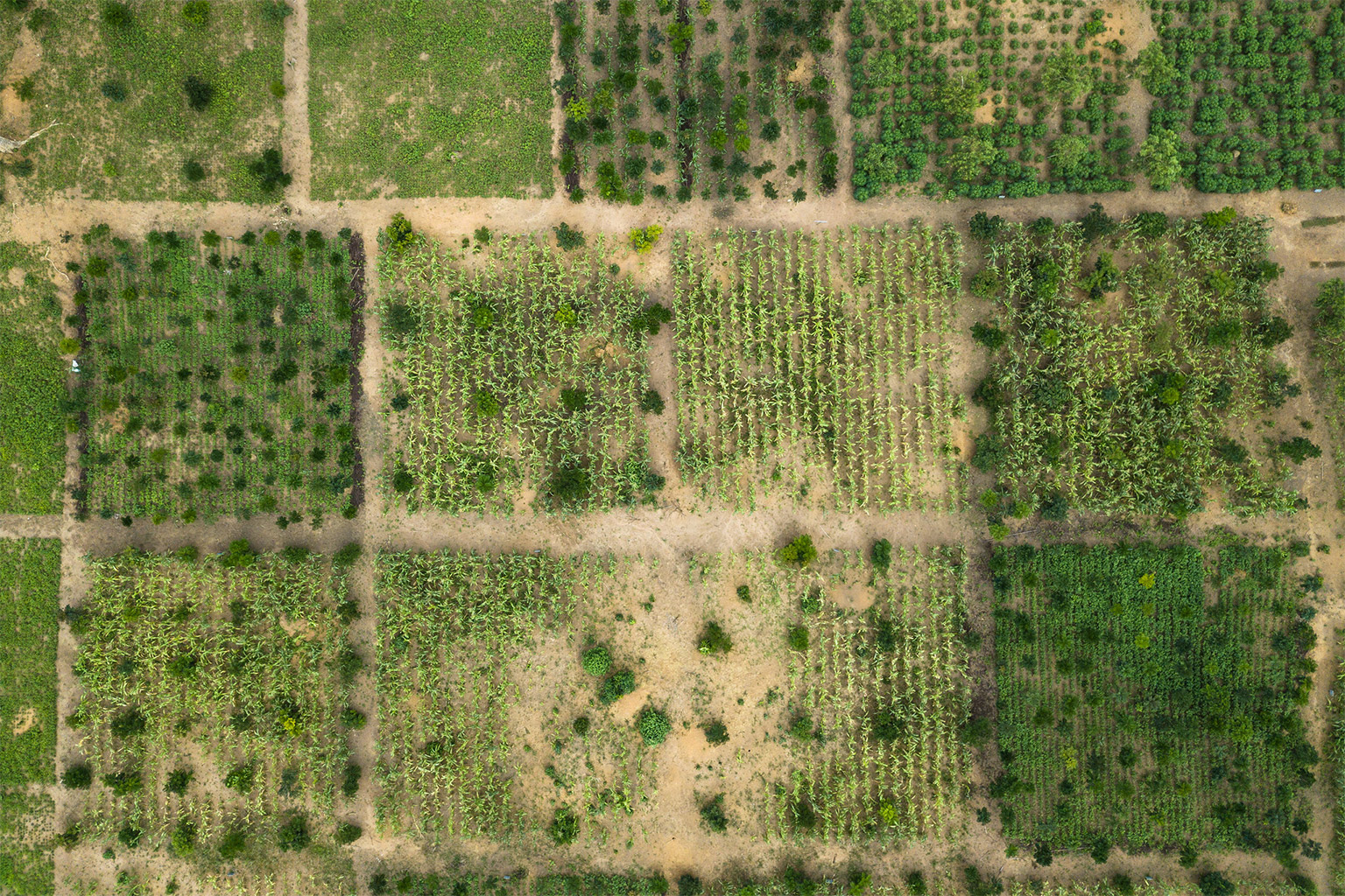 DRC food sovereignty summit yields support for agroecology, local land ...