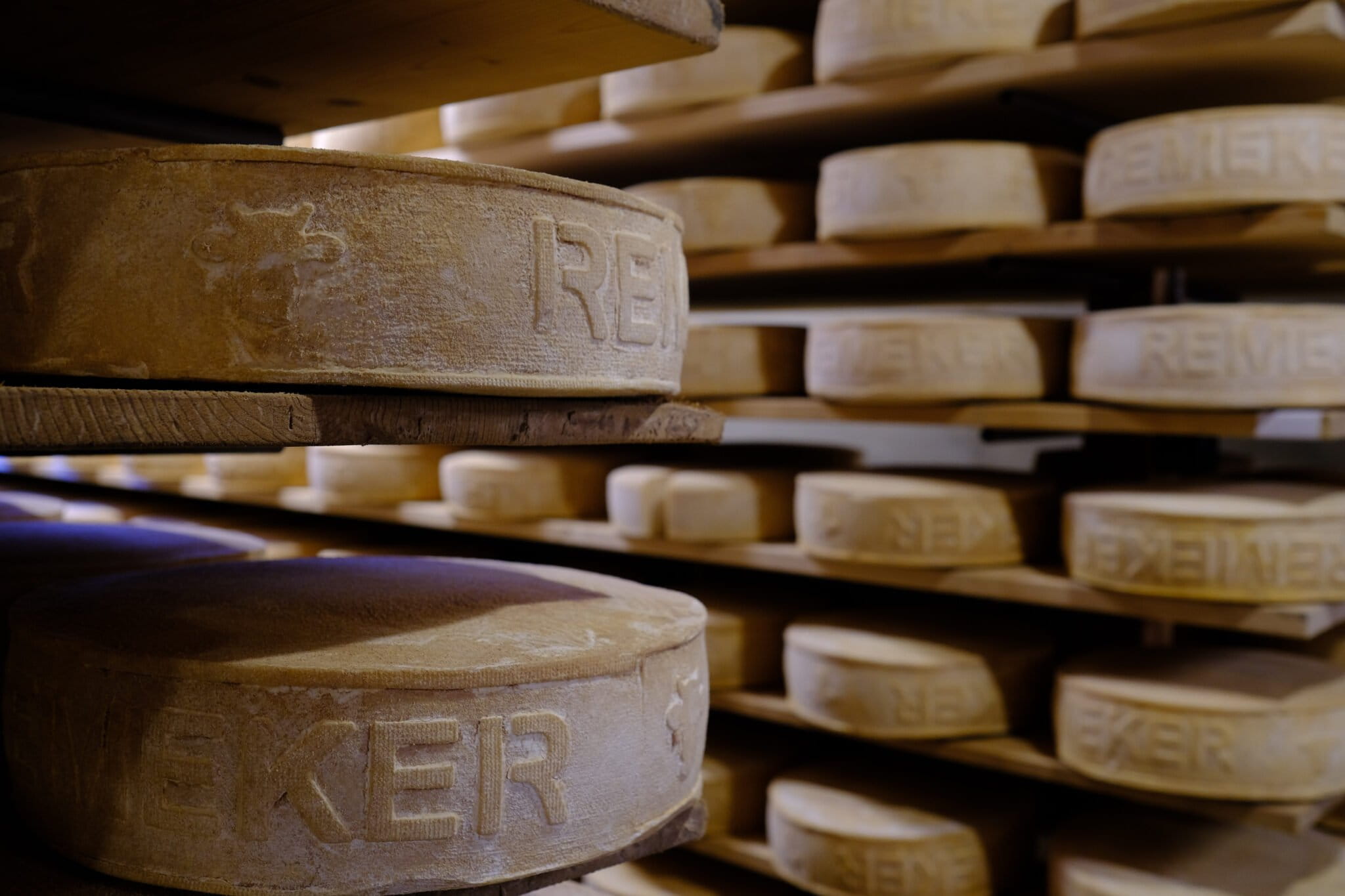 In the clash over Dutch farming, Europe’s future arrives