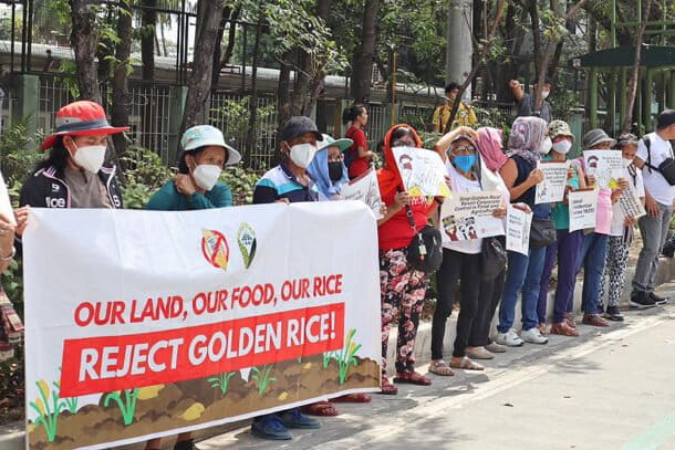 Is the genetically modified, nutrient-rich Golden Rice as safe as promised?