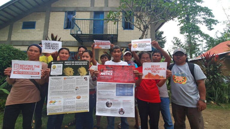 Is the genetically modified, nutrient-rich Golden Rice as safe as promised?