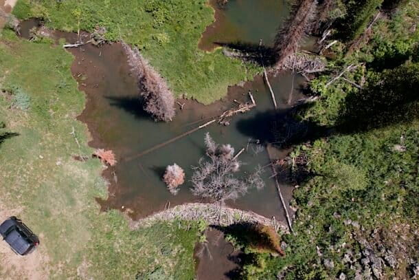NASA satellites reveal restoration power of beavers