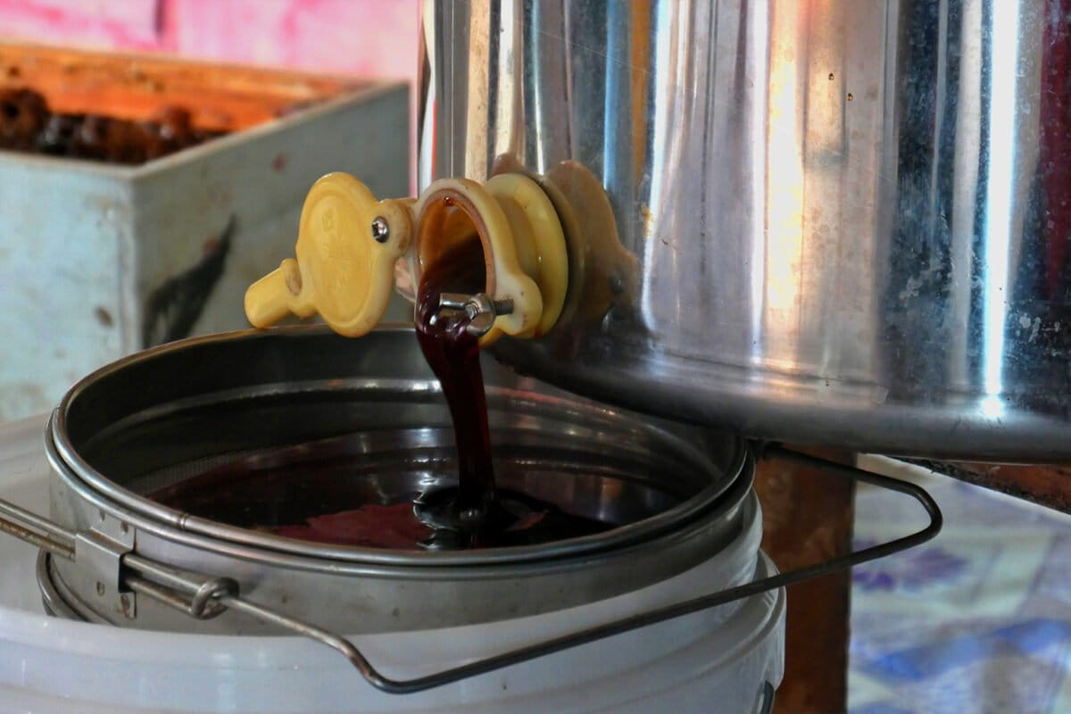 Photos: Fiji’s first Indigenous-owned carbon credit project