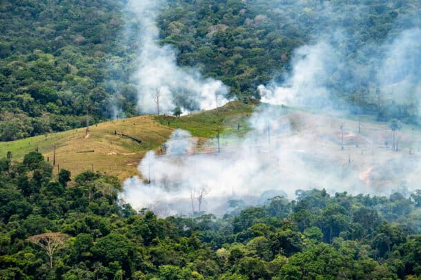 ‘We don’t have much time’: Q&A with climate scientist Pierre Friedlingstein